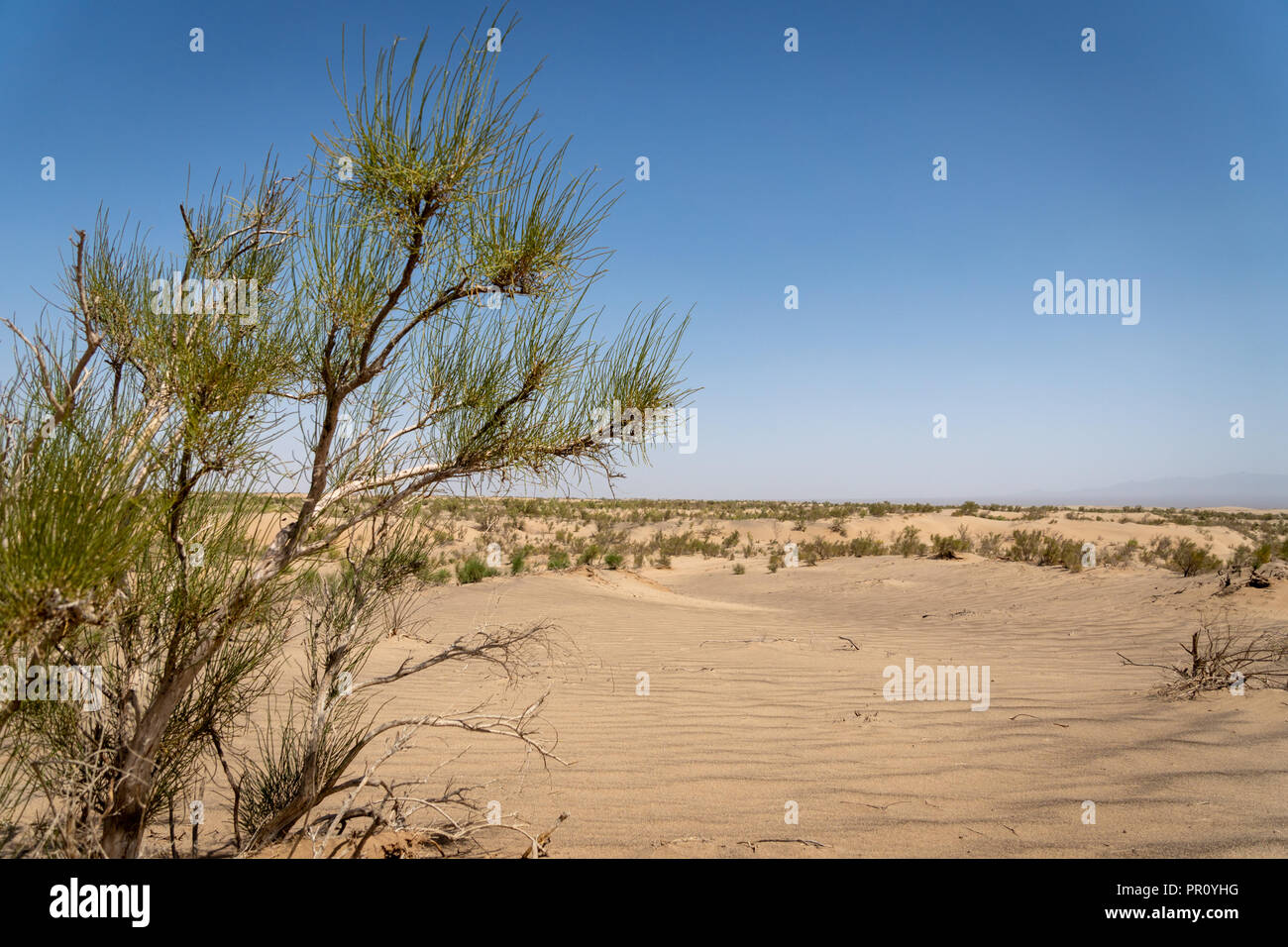 Iranian desert Banque de photographies et d’images à haute résolution ...