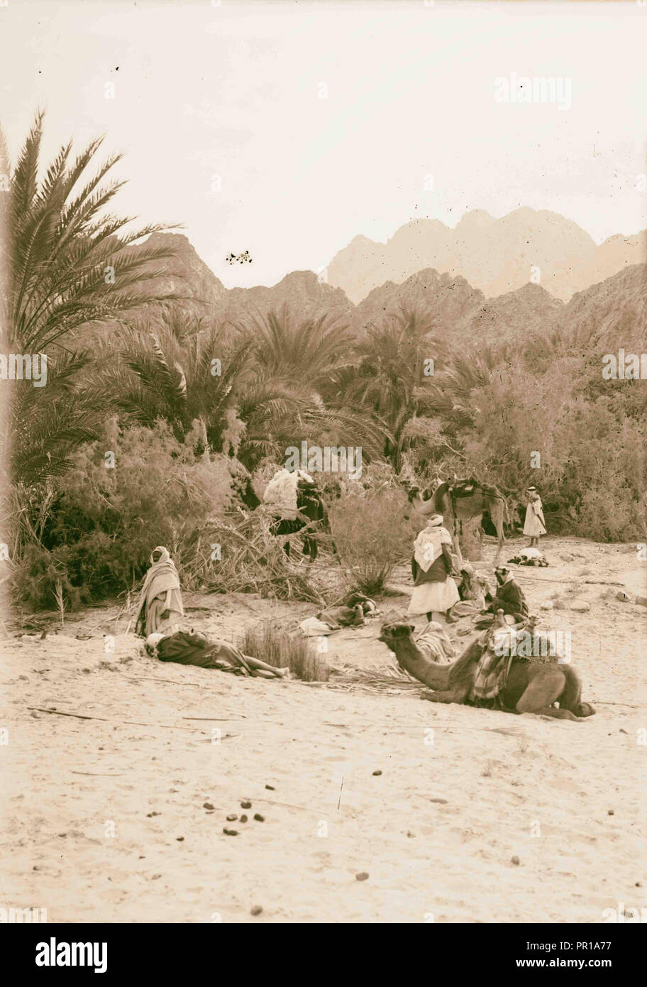 Jebel serbal Banque de photographies et d’images à haute résolution - Alamy