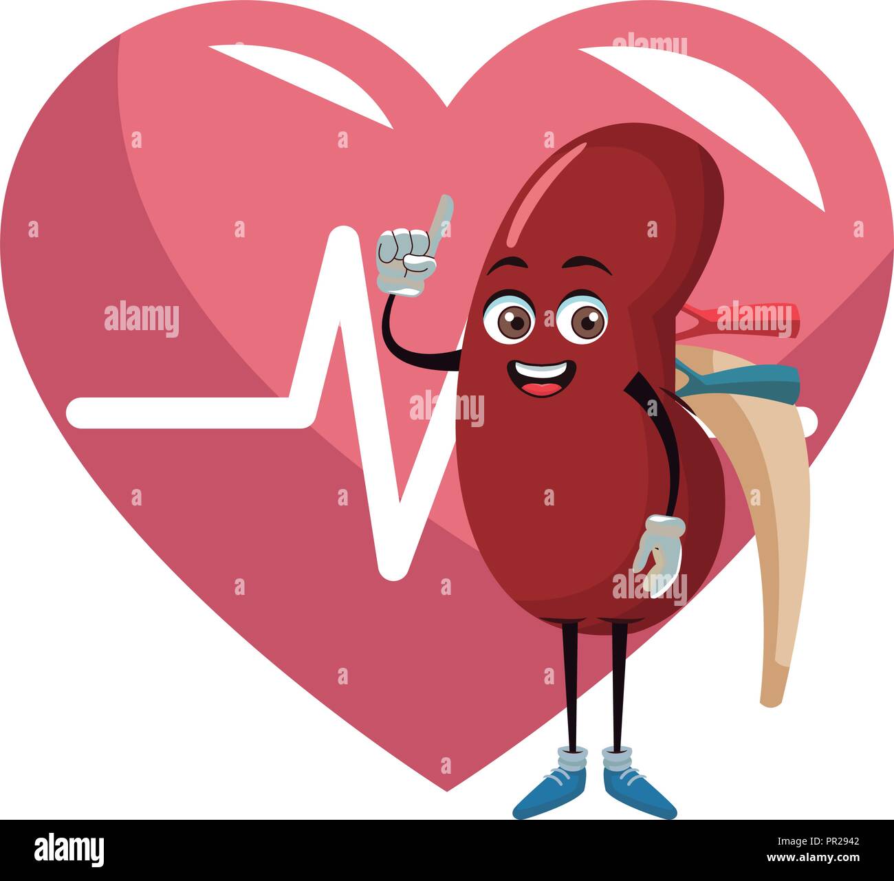 En forme de rein Banque d'images vectorielles - Alamy