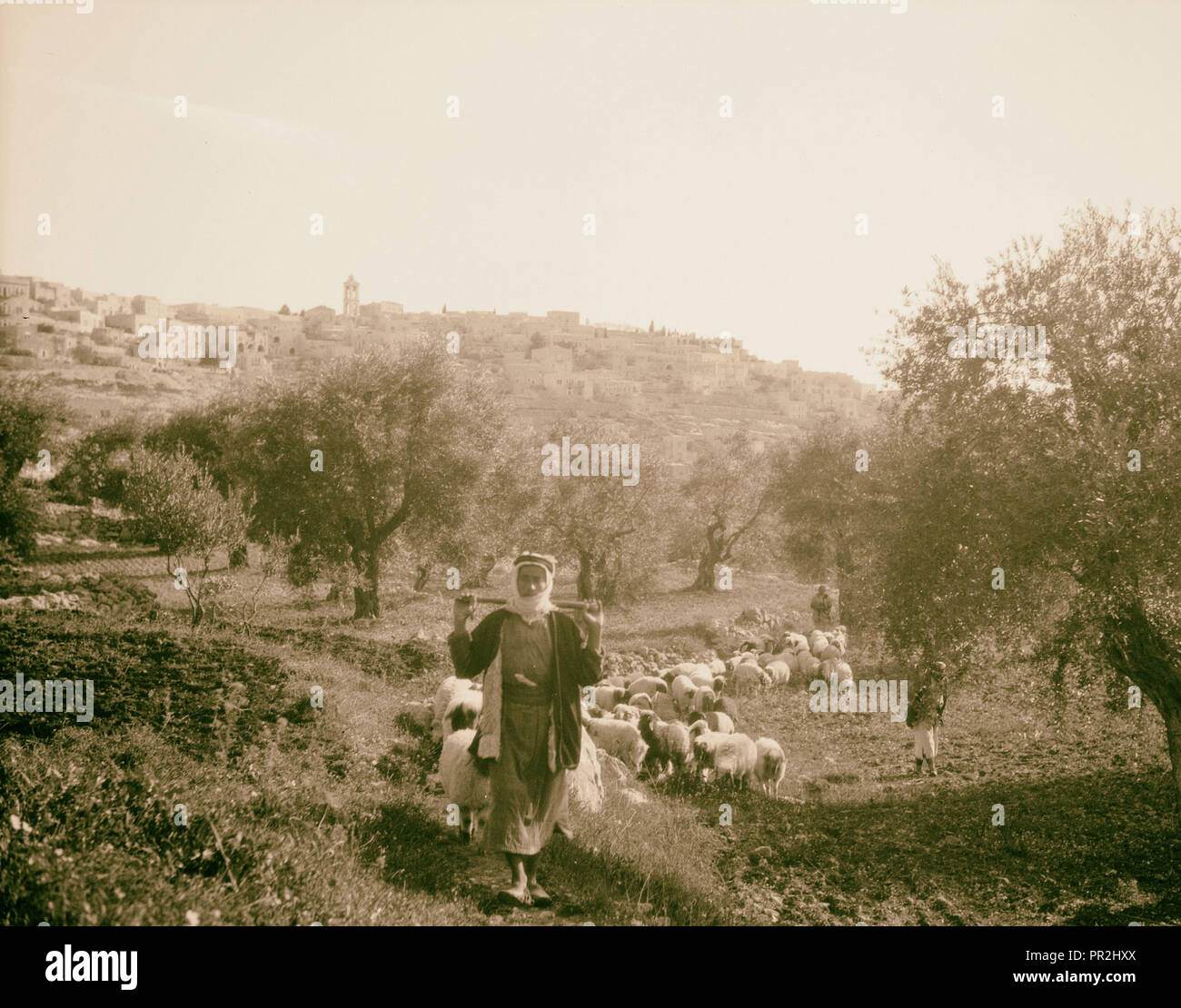 Bergers et troupeaux Banque de photographies et d’images à haute résolution - Alamy