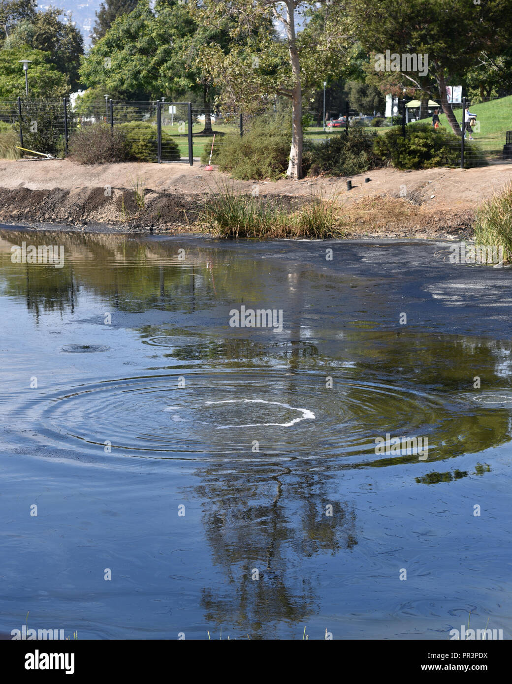 Le gaz méthane bouillonner à travers le bourbier au puits de goudron de ...