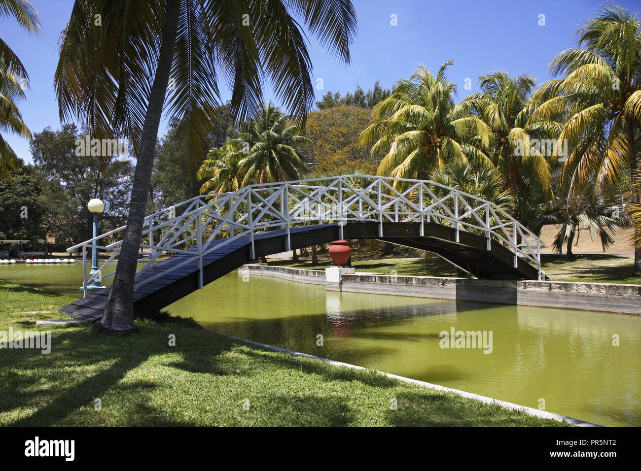 Parque josone Banque de photographies et d’images à haute résolution ...