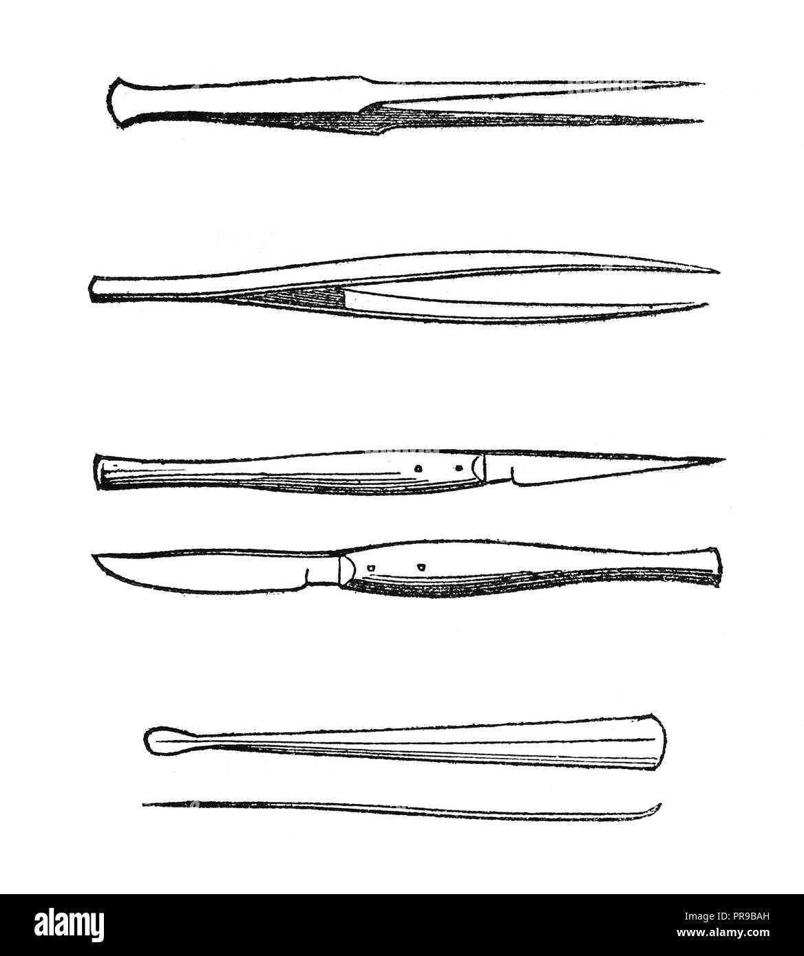 19ème siècle Illustration d'une série de pinces, pinces à dissection ...