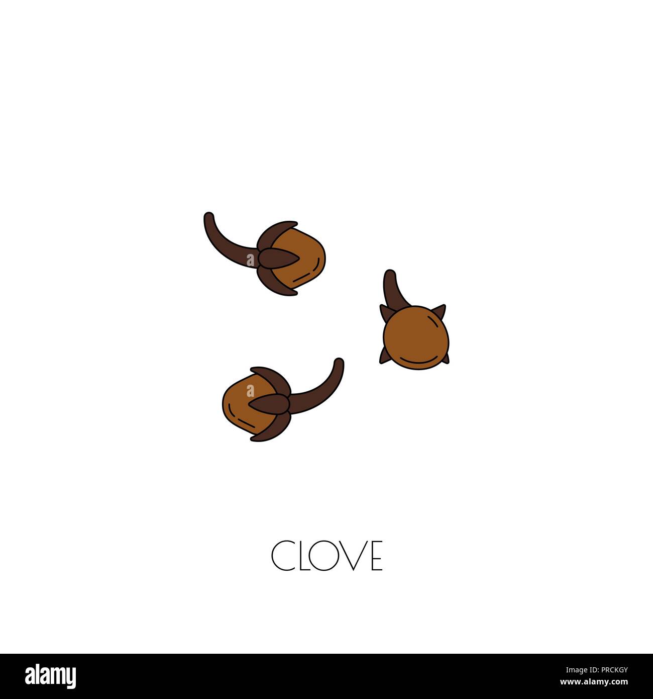 Cannelle de girofle Banque d'images vectorielles - Alamy
