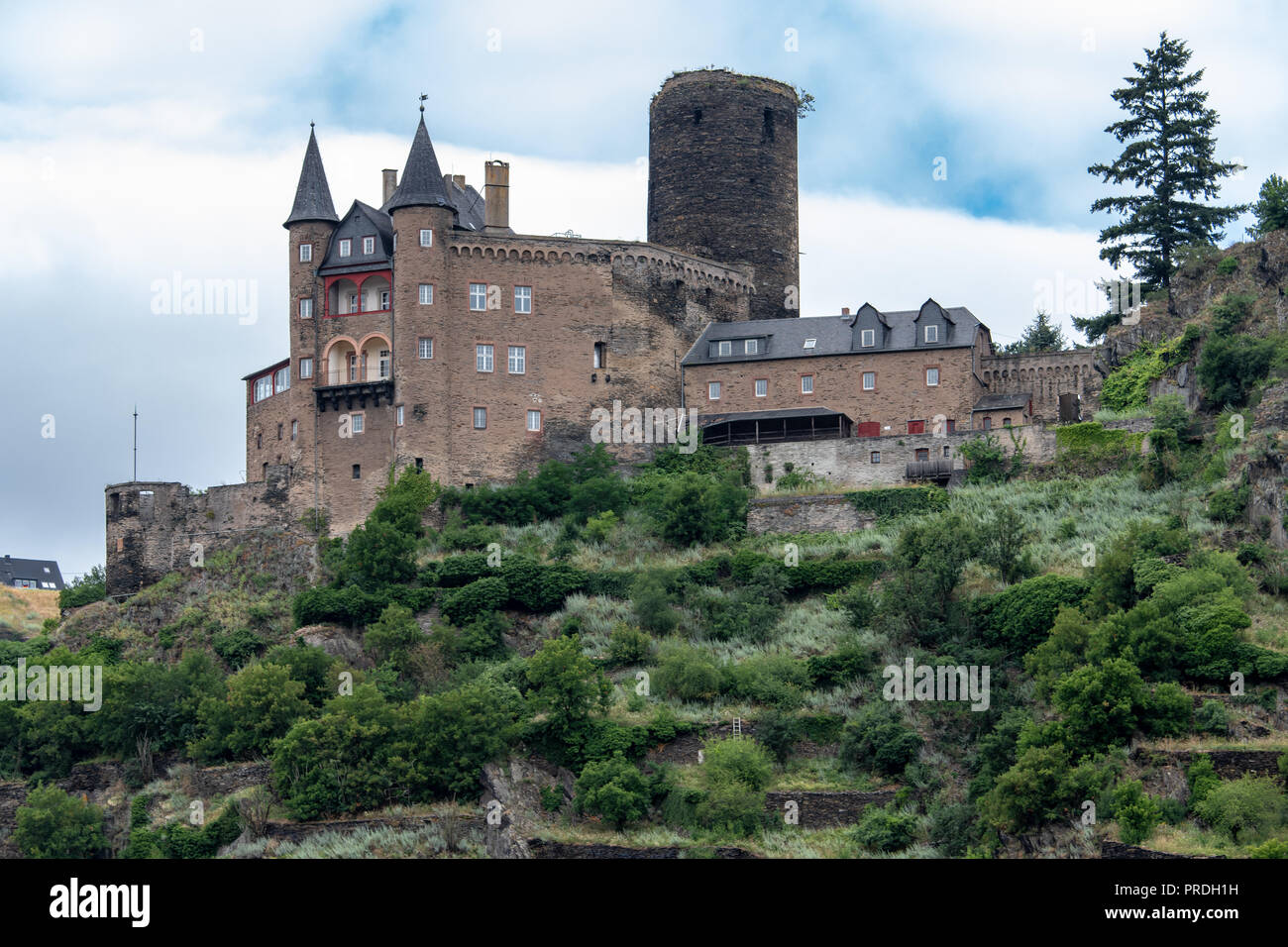 Cat castle Banque de photographies et d’images à haute résolution - Alamy