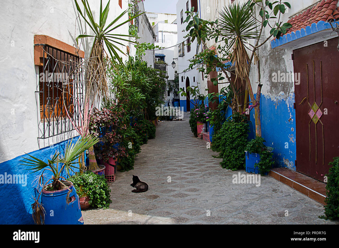Maison asilah Banque de photographies et d’images à haute résolution ...