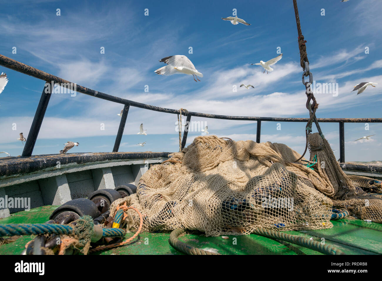 Chalutier à crevettes Banque de photographies et d’images à haute ...