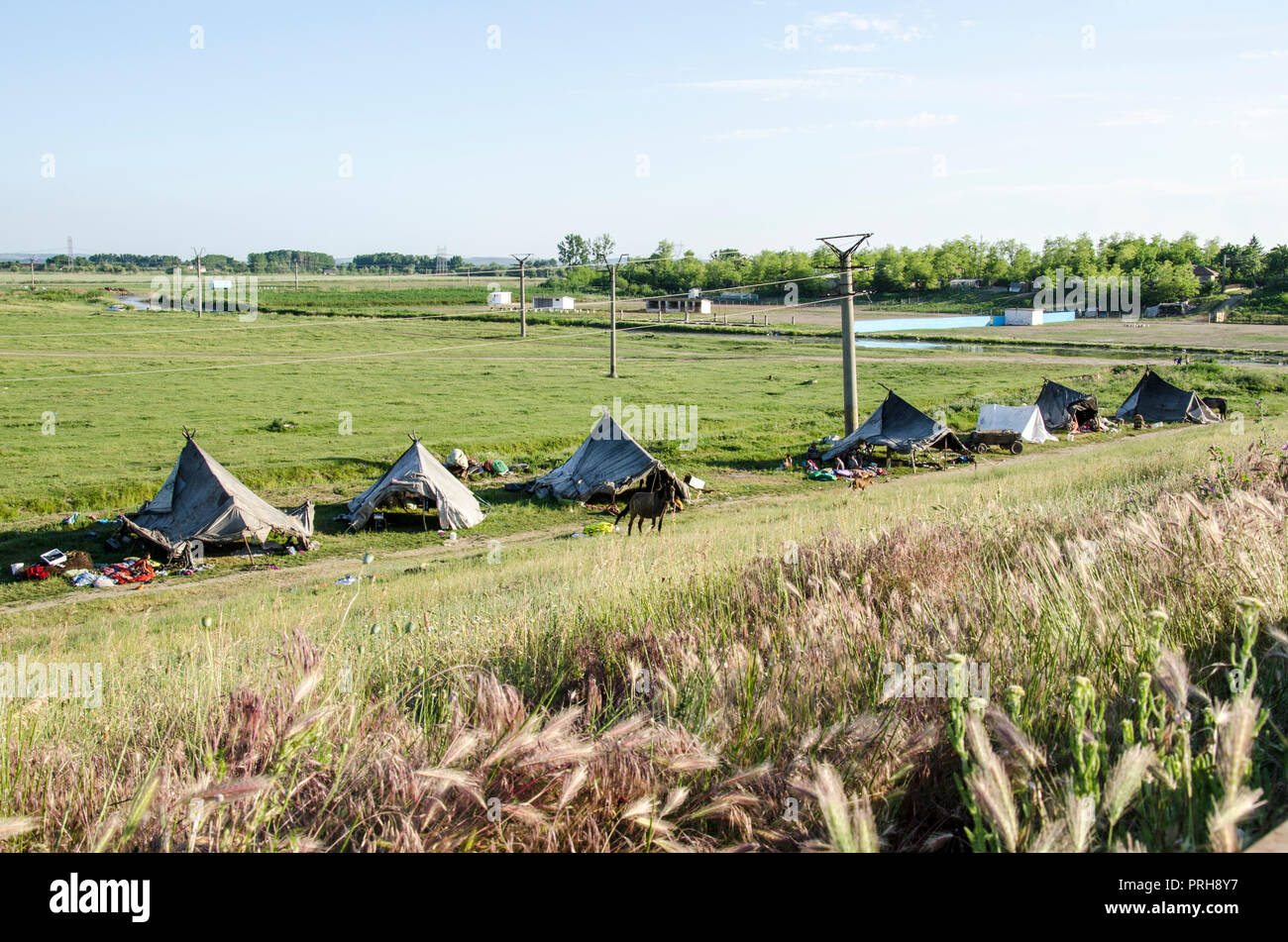 Gypsy music romania Banque de photographies et d’images à haute ...