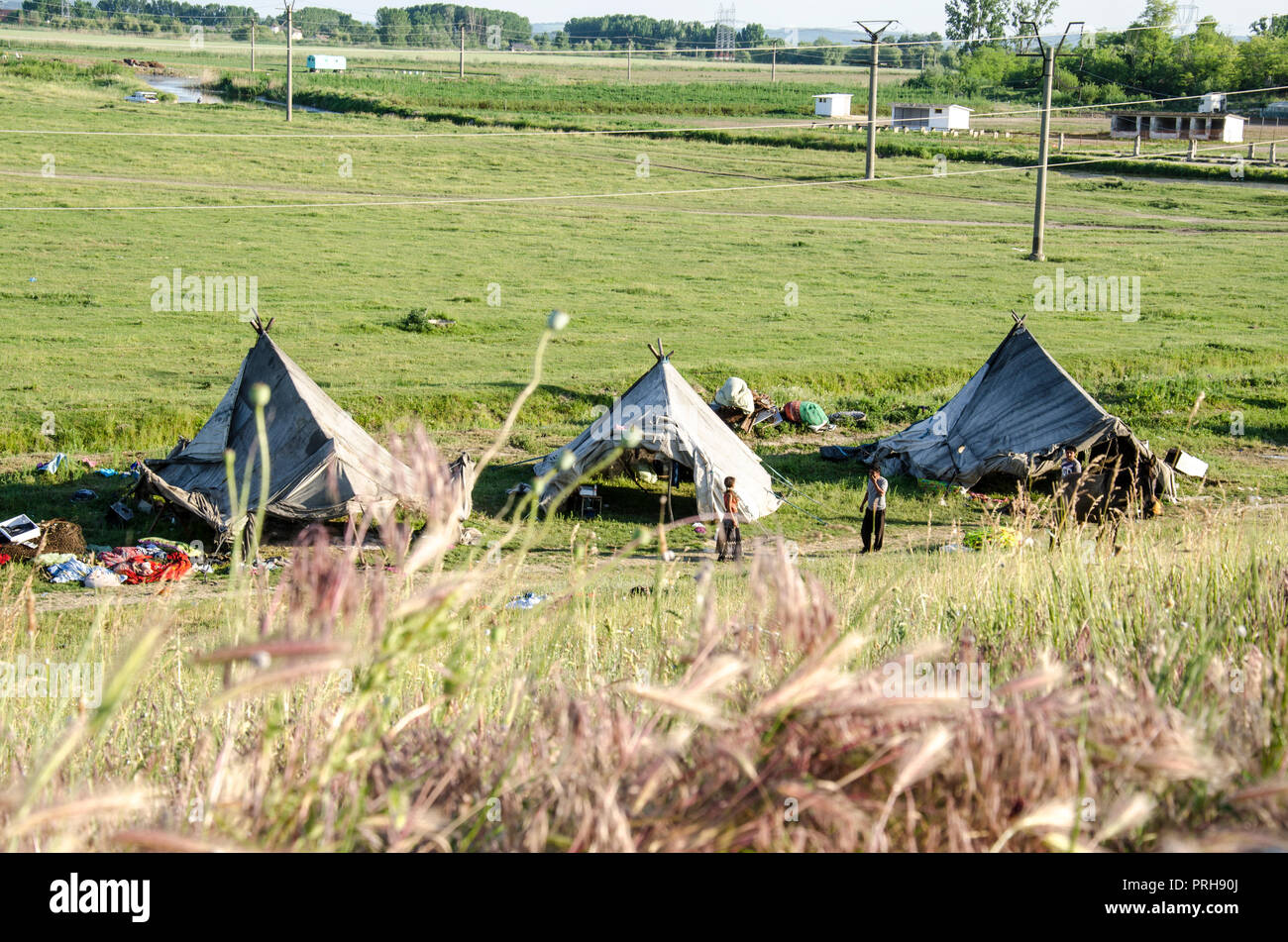 Gypsy music romania Banque de photographies et d’images à haute ...