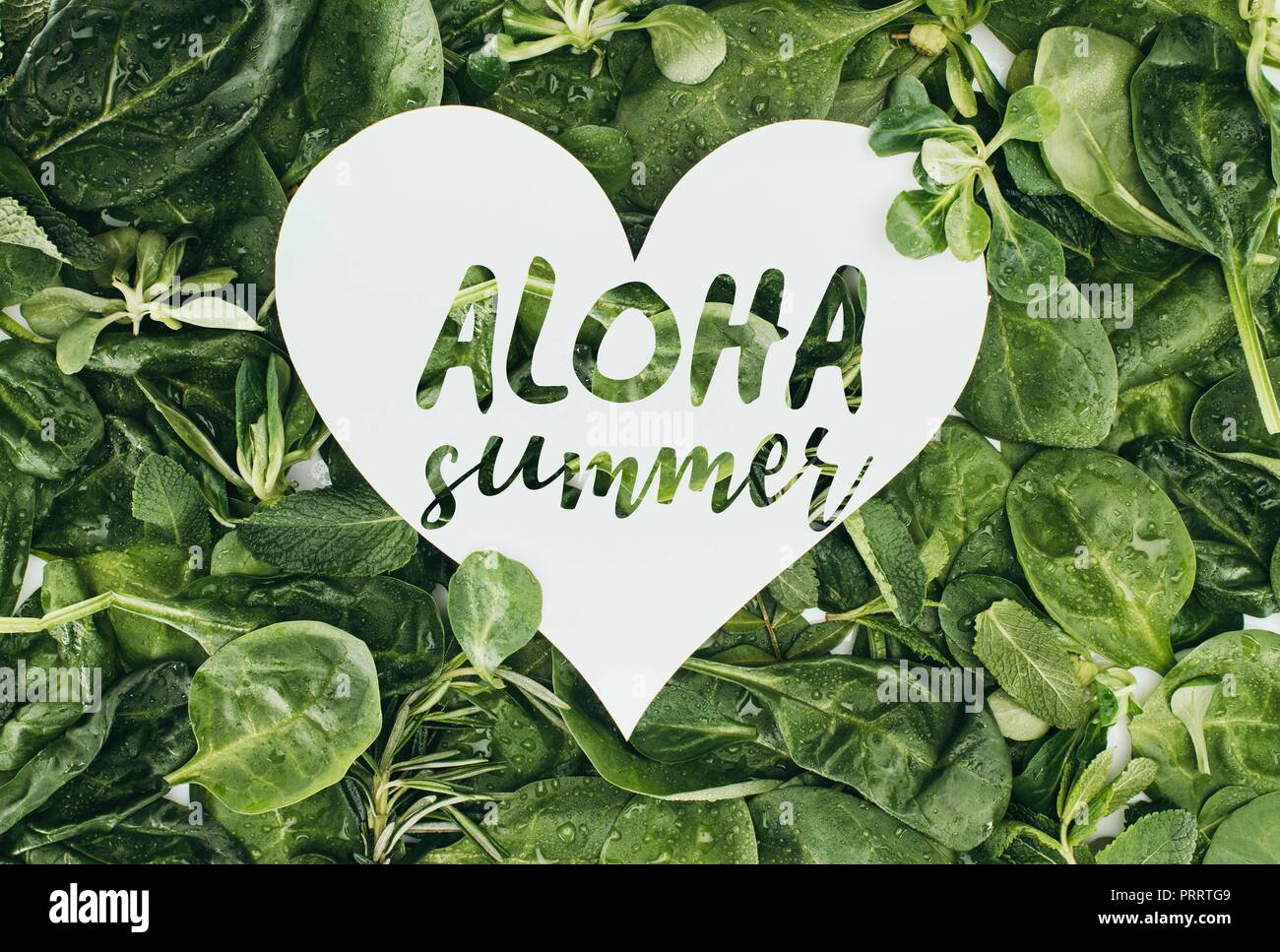 Le symbole du coeur blanc avec des mots d'été humide et belle aloha ...