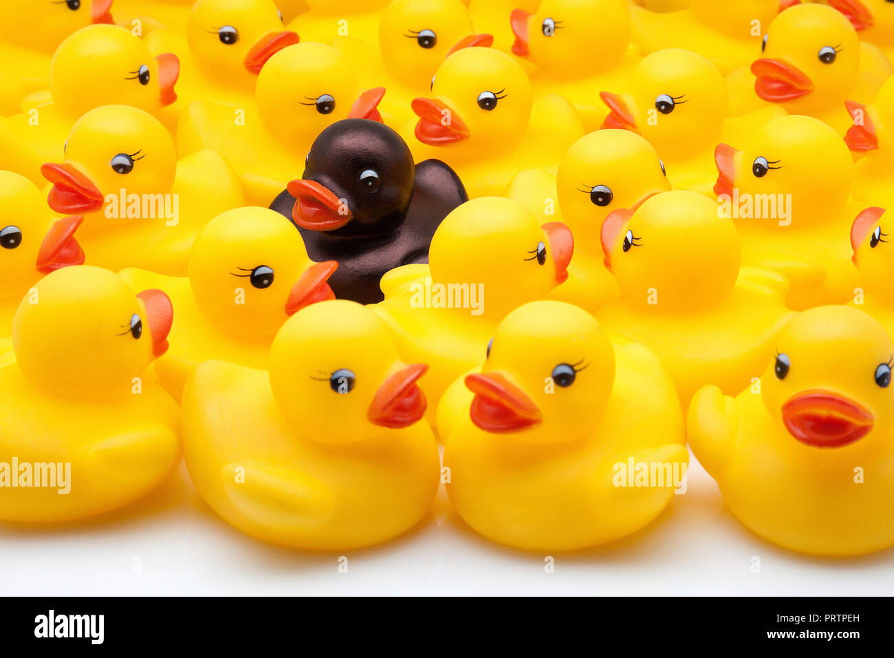 Canards jaunes Banque de photographies et d’images à haute résolution ...