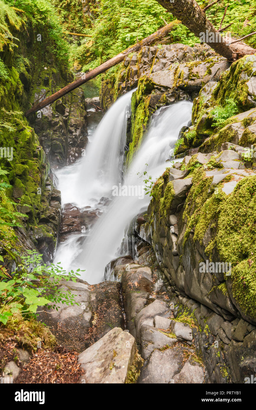Arbre cascade Banque de photographies et d’images à haute résolution - Alamy