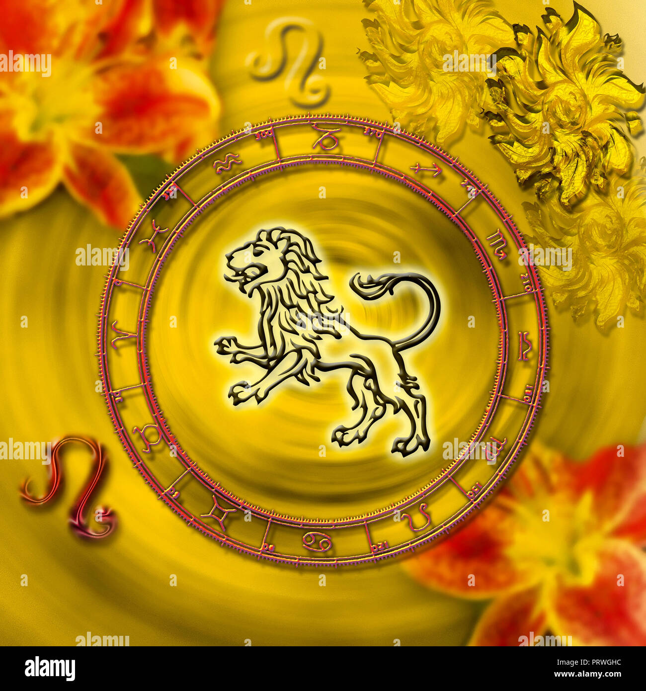 Lion Sign Of The Zodiac Banque d'image et photos - Alamy