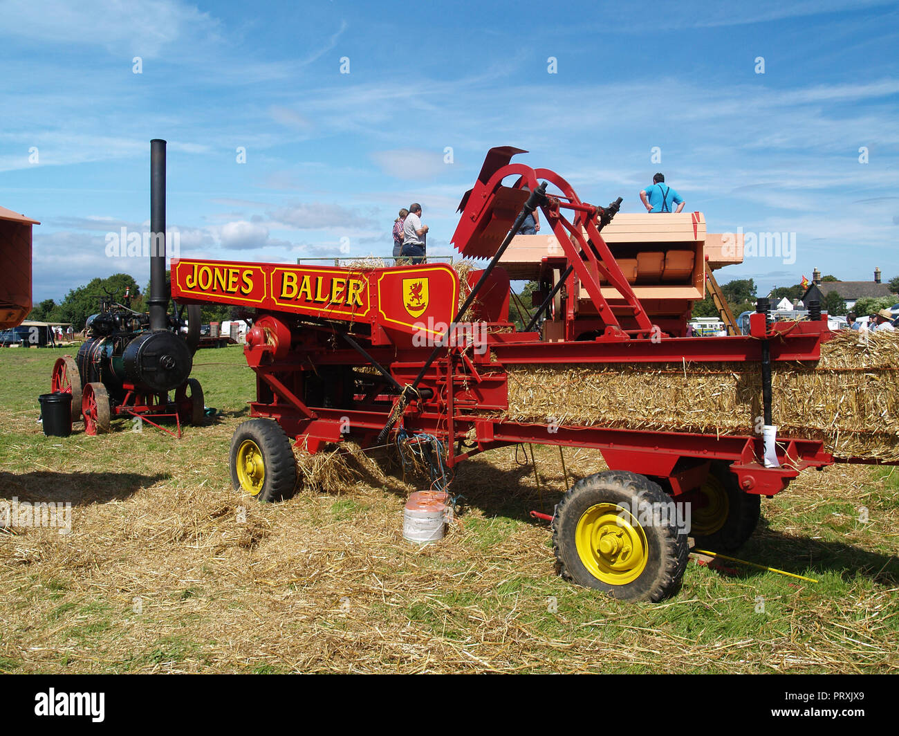 Tiger jones Banque de photographies et d’images à haute résolution - Alamy