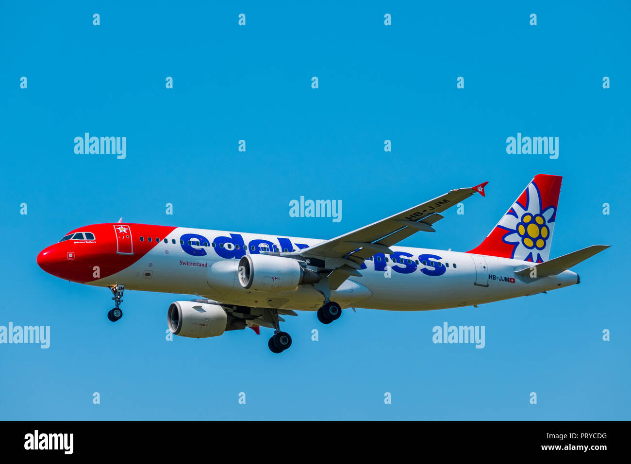 Avion edelweiss Banque de photographies et d’images à haute résolution ...