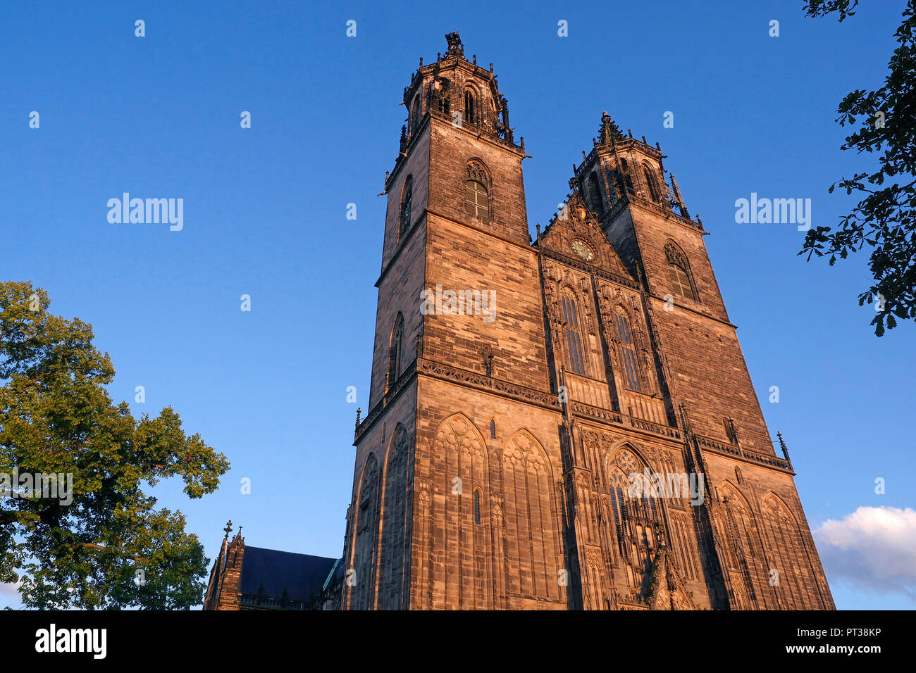 Cathédrale de Magdeburg Saint Maurice et Katharina, Magdebourg, Saxe ...