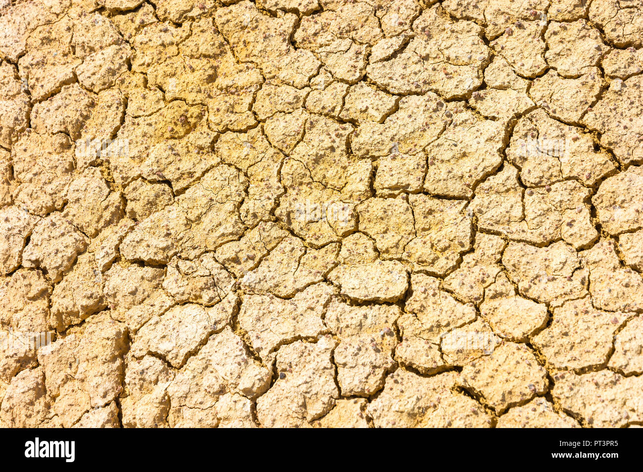 Texture du sol ensoleillement Banque d'image et photos - Alamy