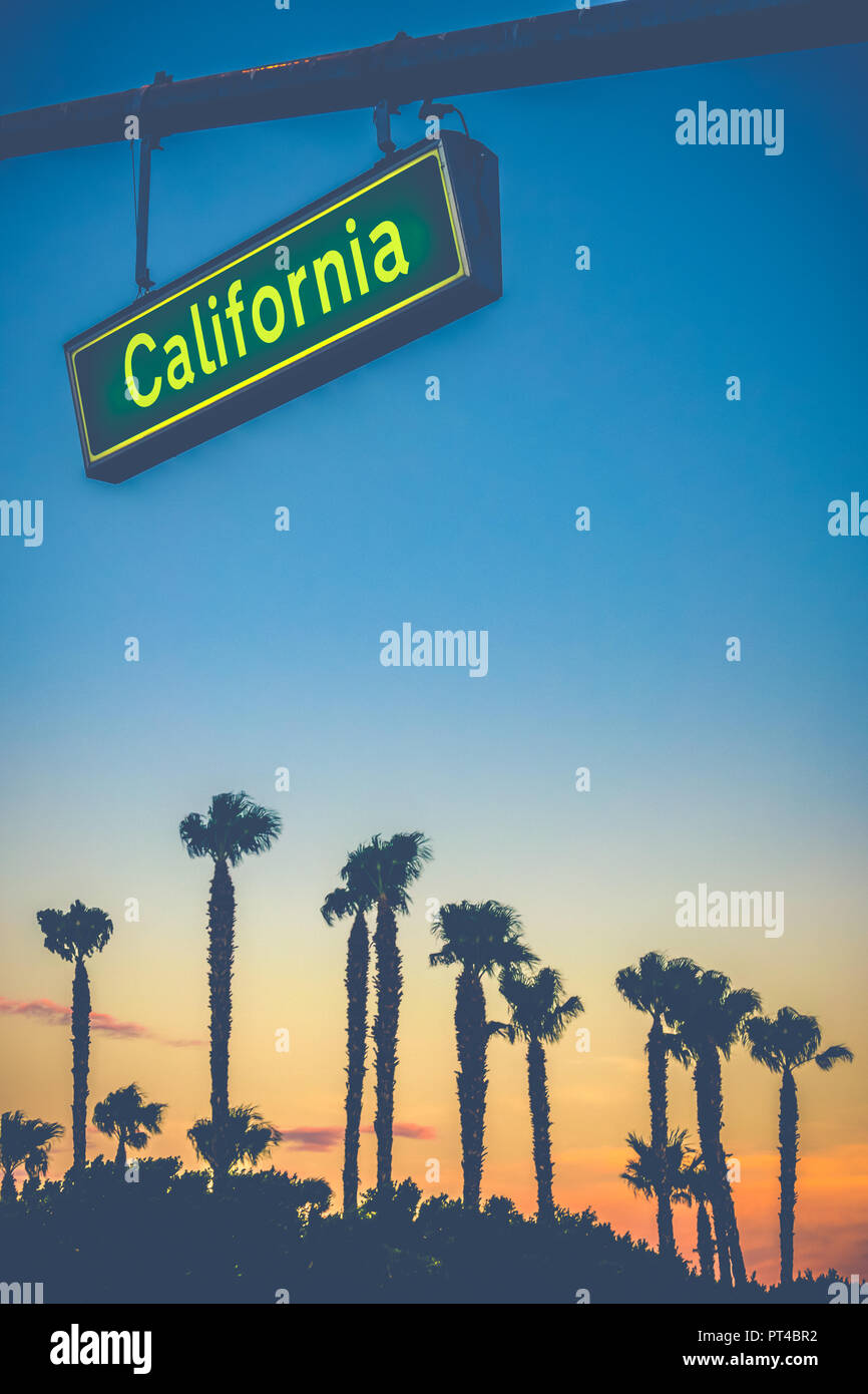 Los angeles palm trees hollywood sign Banque de photographies et d ...