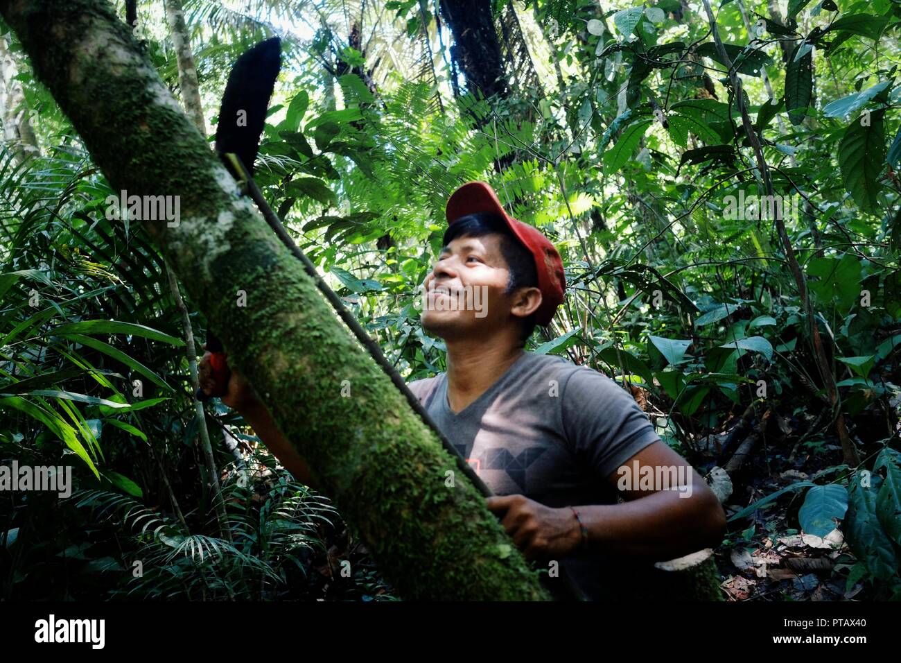 Tribu indienne amazonie Banque de photographies et d’images à haute ...