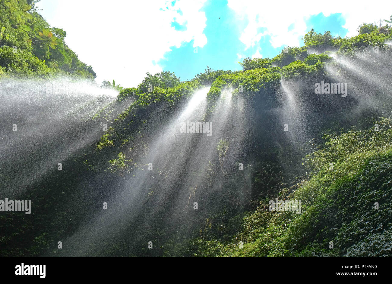 La magnifique cascade de Madakaripura, vue naturelle de l'Est de Java ...