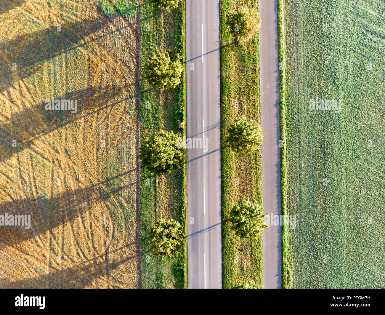 Allée d'arbres vus d'en haut Banque de photographies et d’images à ...