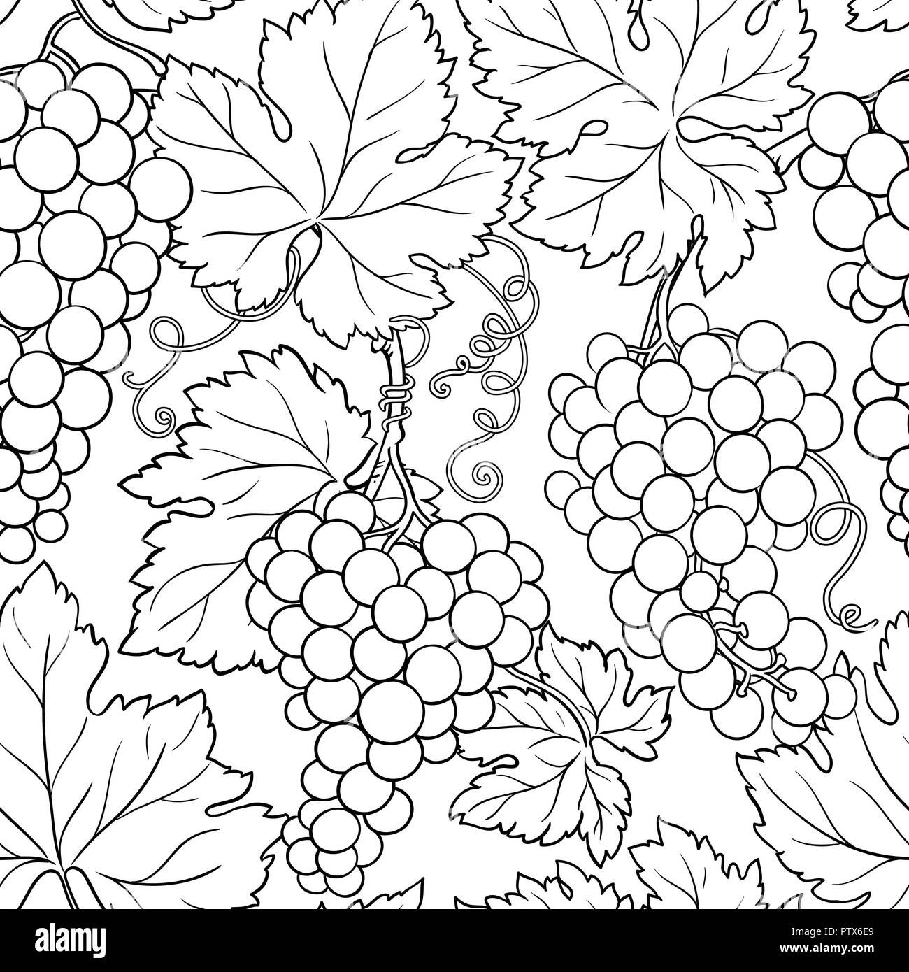 Dessin de grappe de raisin fond de vin Banque d'images noir et blanc ...