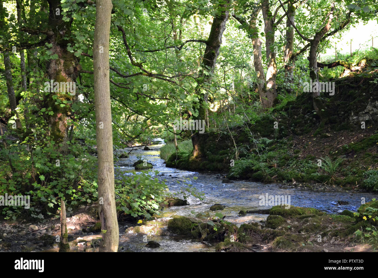 Corrine hovington Banque de photographies et d’images à haute ...