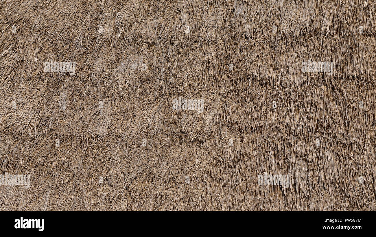 Texture de chaume Banque de photographies et d’images à haute ...