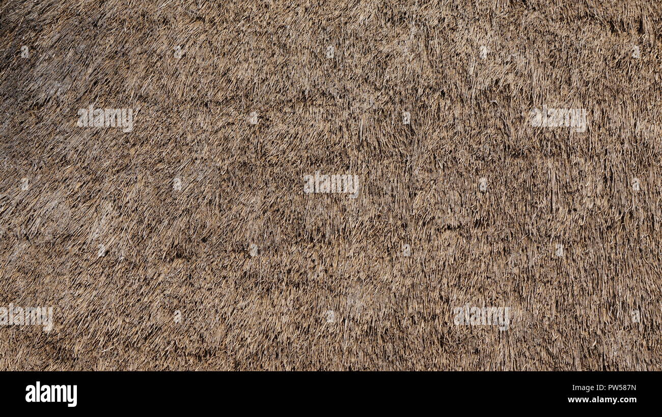 Texture de chaume Banque de photographies et d’images à haute ...