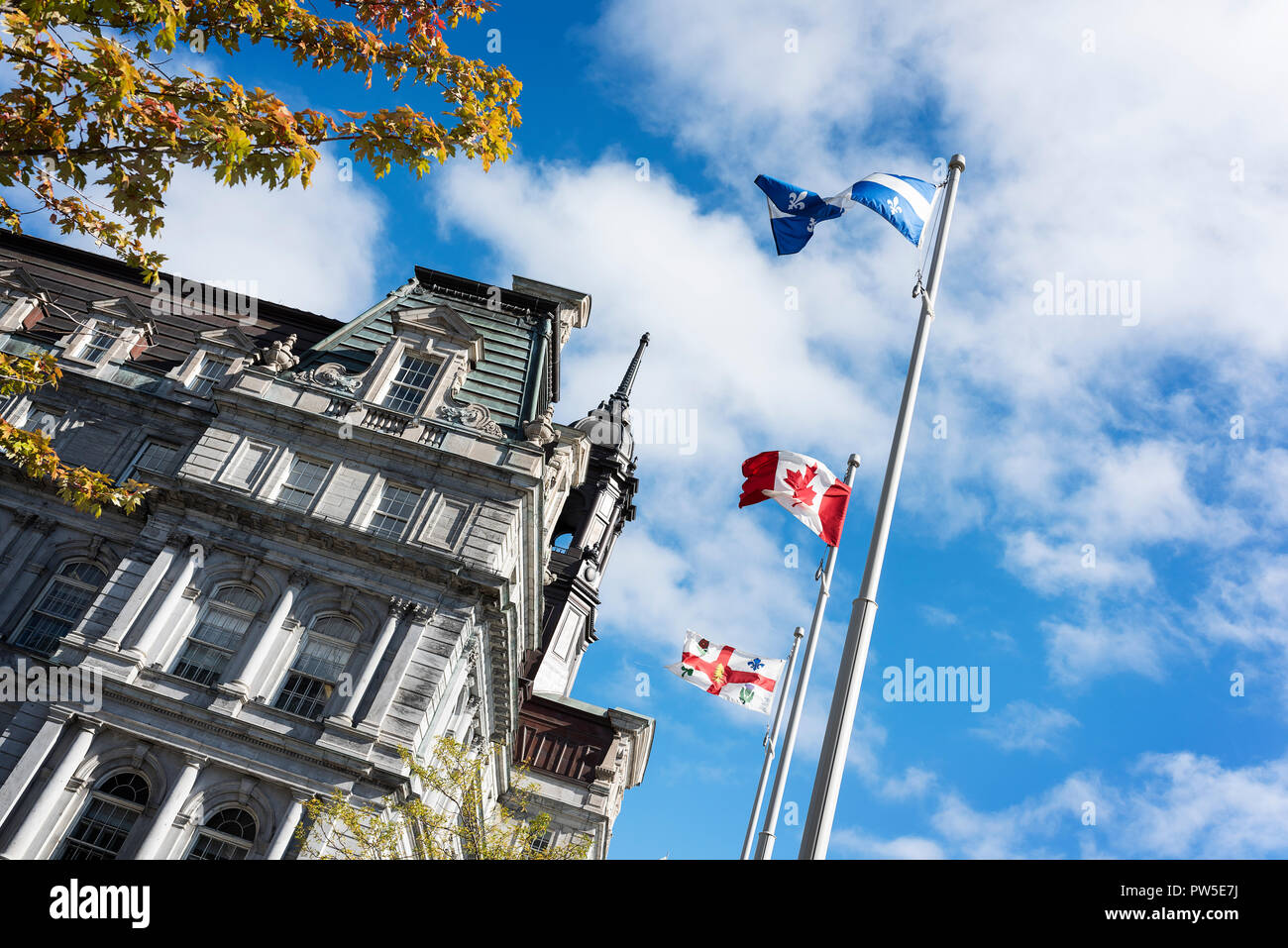 Patriote quebec Banque de photographies et d’images à haute résolution ...