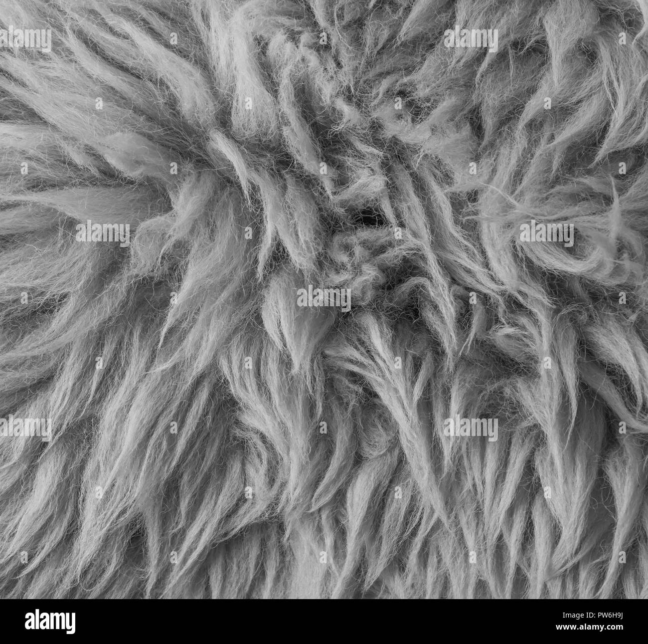Textures de fourrure Banque d'images noir et blanc - Alamy