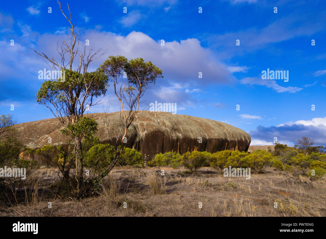 Camping at wave rock Banque de photographies et d’images à haute ...