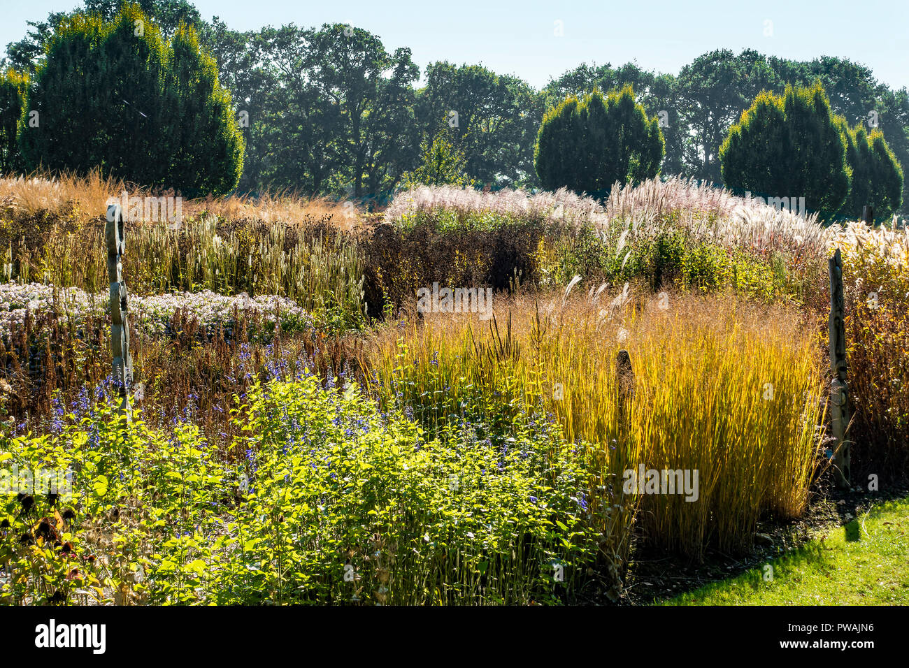 Sussex prairie garden Banque de photographies et d’images à haute ...