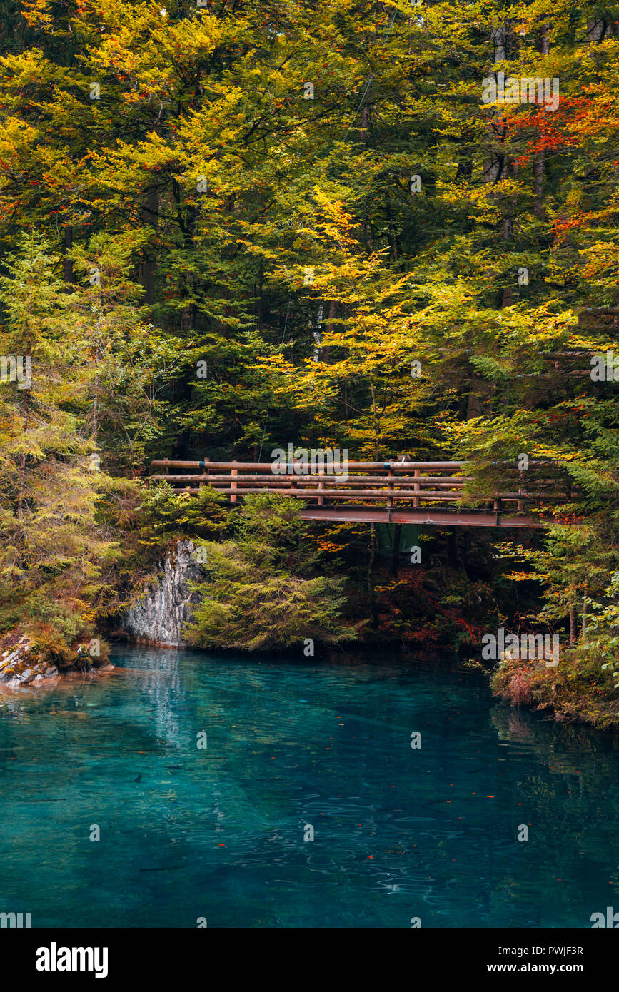 Au temps d'automne forêt romantique lac Blausee, l'un des plus connus ...