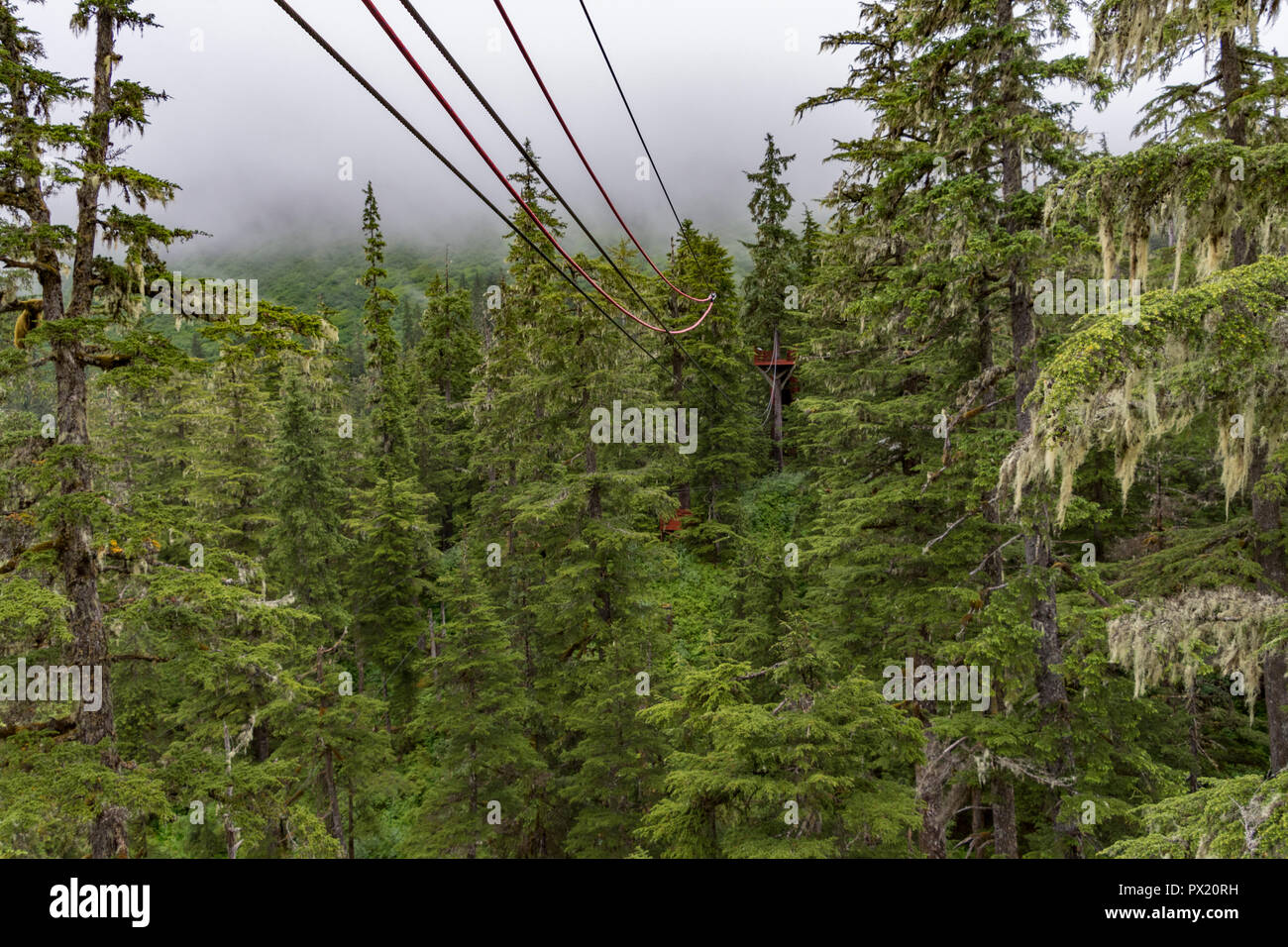 Canopy zip line Banque de photographies et d’images à haute résolution ...