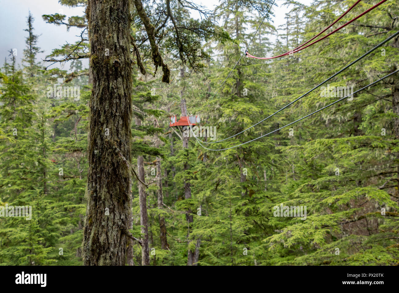 Canopy zip line Banque de photographies et d’images à haute résolution ...