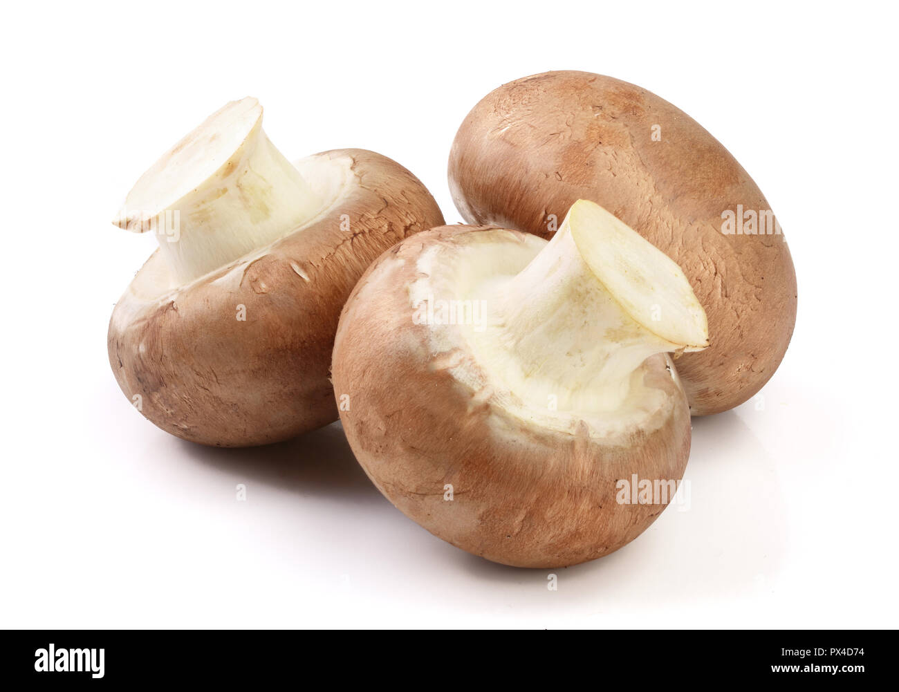 Champignons beiges Banque d'images détourées - Alamy
