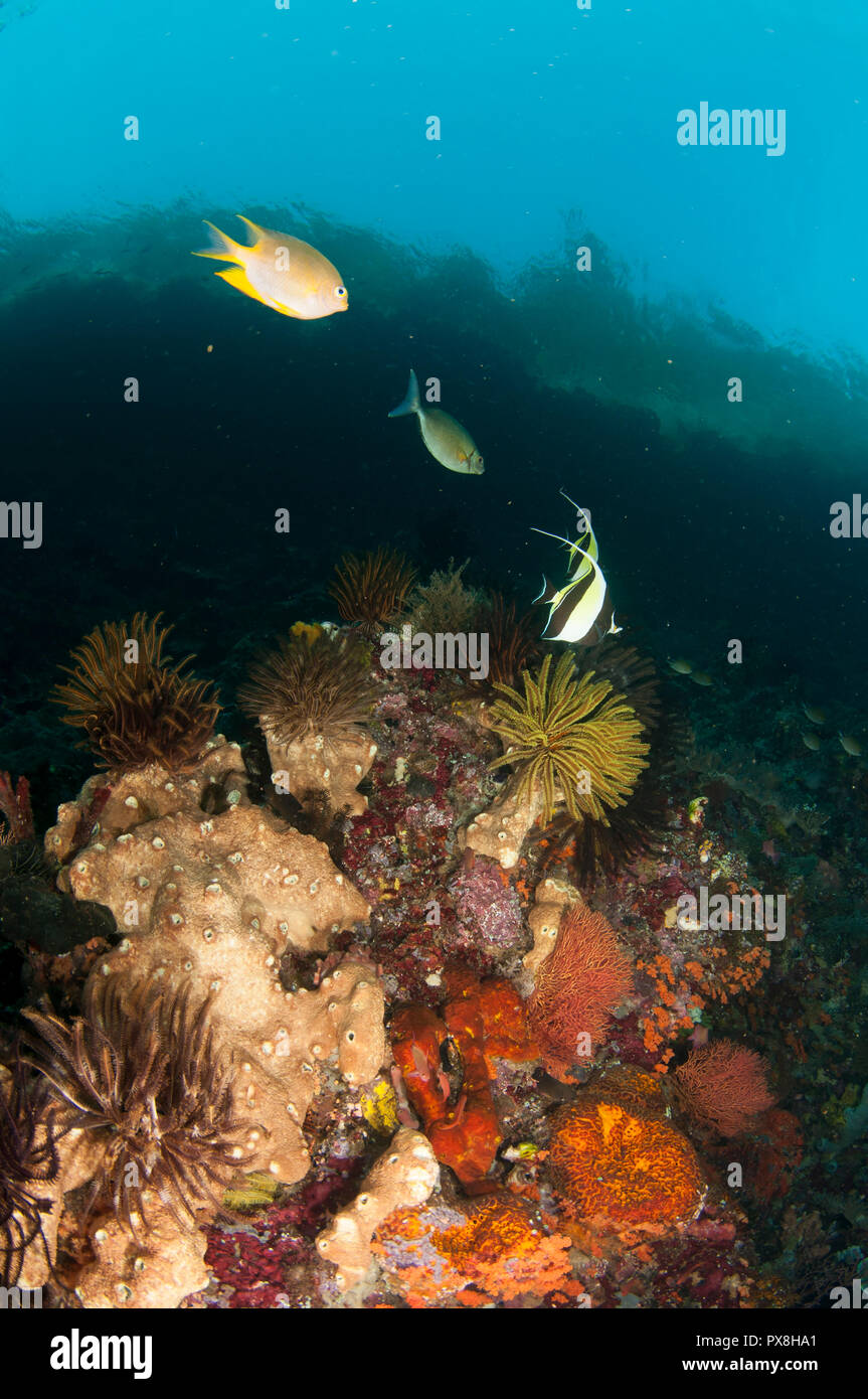 Canal kerua Banque de photographies et d’images à haute résolution - Alamy