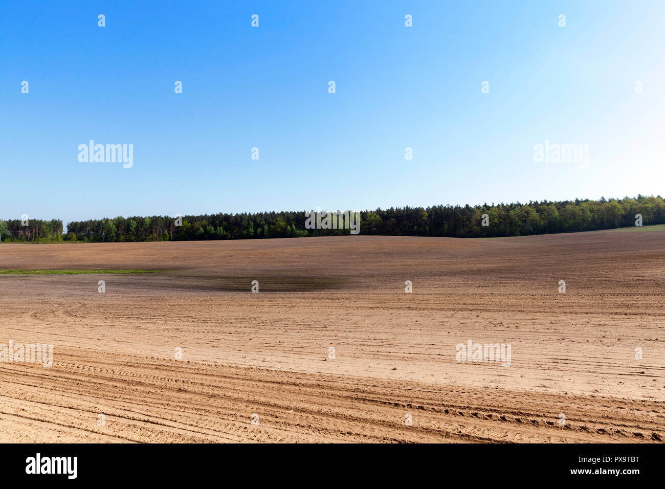 Sol brun clair Banque de photographies et d’images à haute résolution ...
