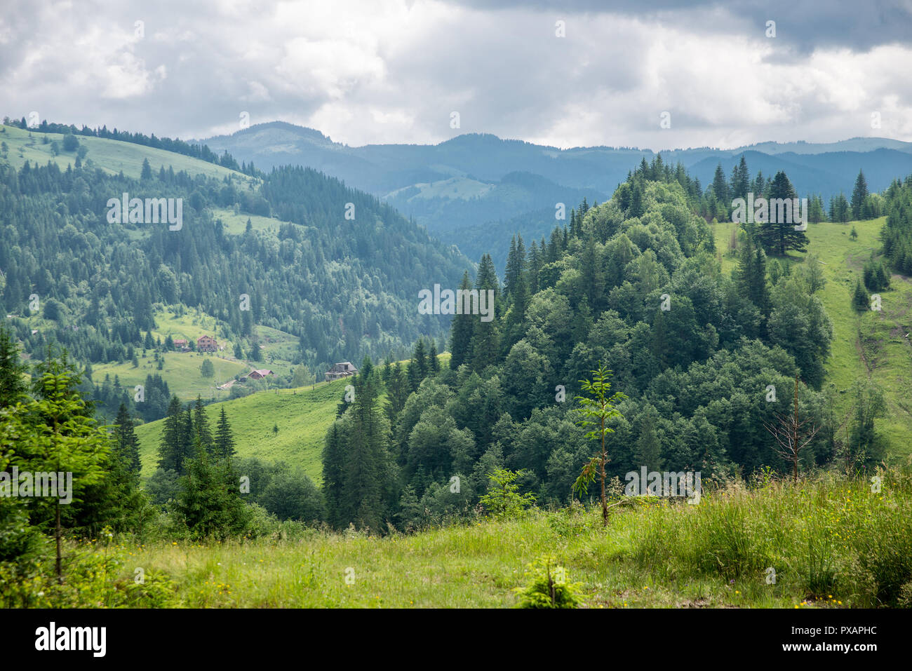 Paysages des carpates Banque de photographies et d’images à haute ...
