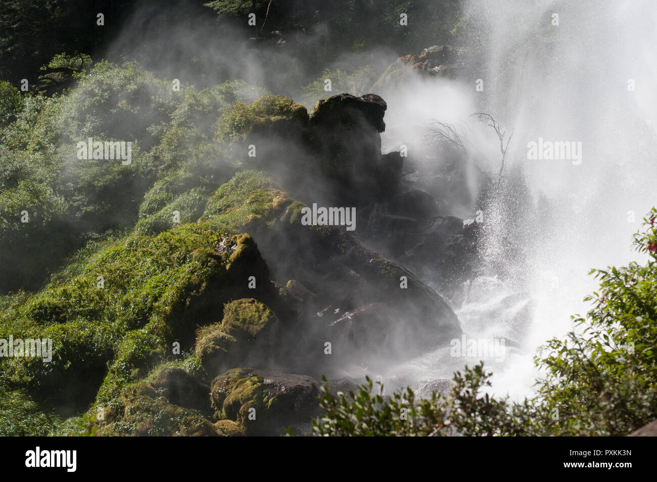 El saltillo Banque de photographies et d’images à haute résolution - Alamy