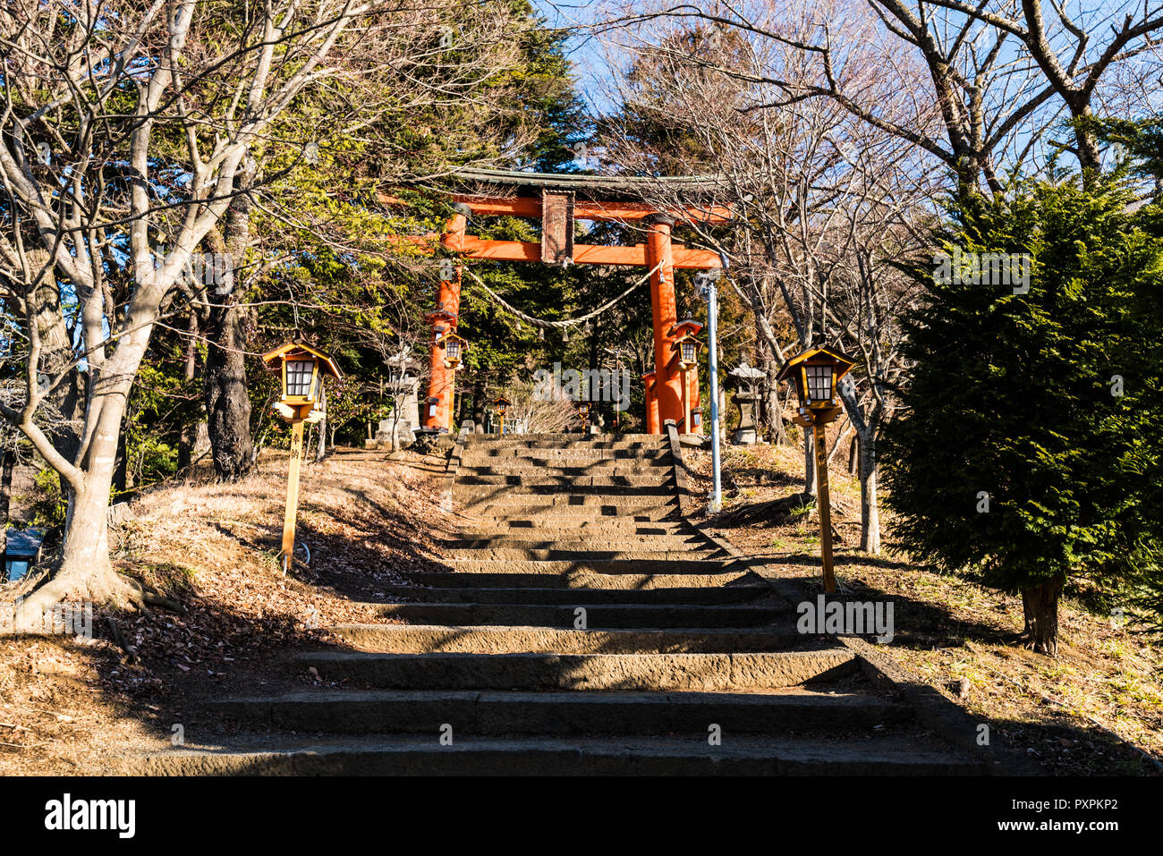 Temple japonais cerisier noir et blanc Banque de photographies et d’images à haute résolution ...