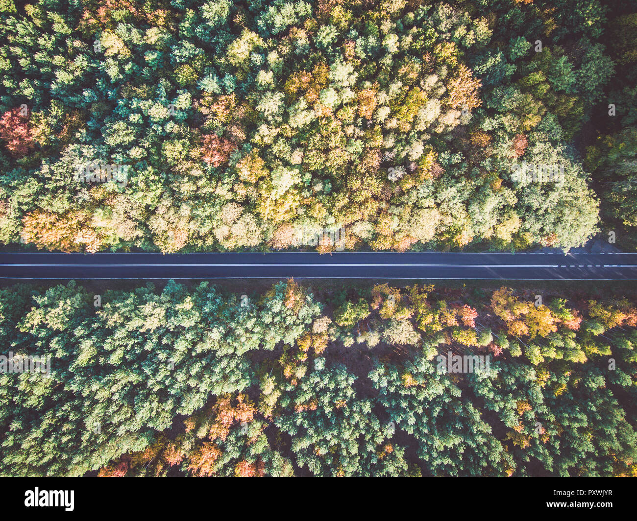 Deciduous Forest Aerial Banque d'image et photos - Alamy