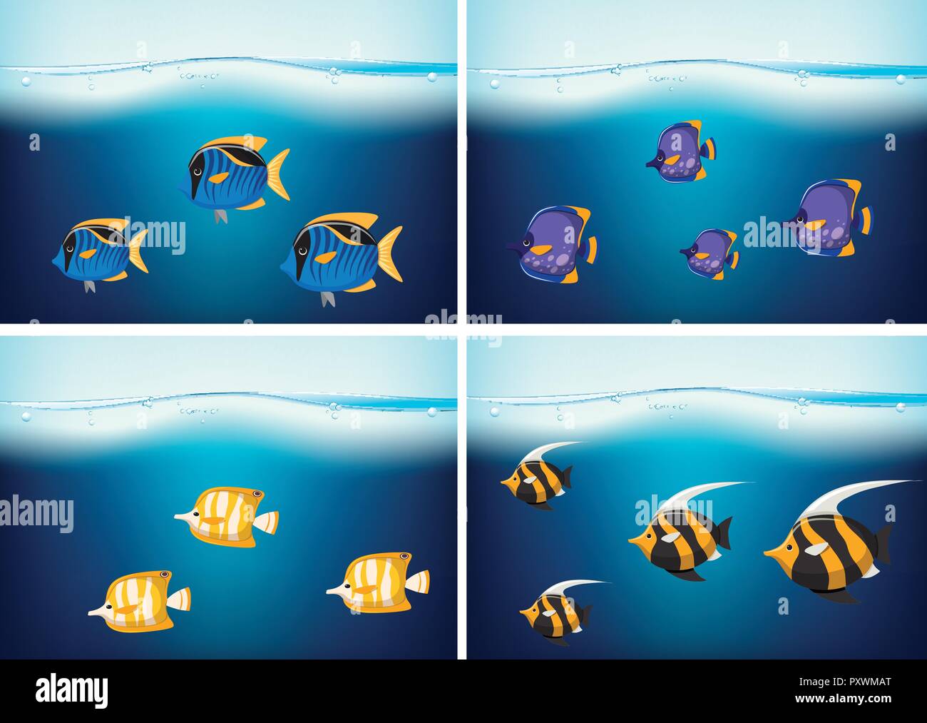 Types De Poisson Banque d'image et photos - Alamy