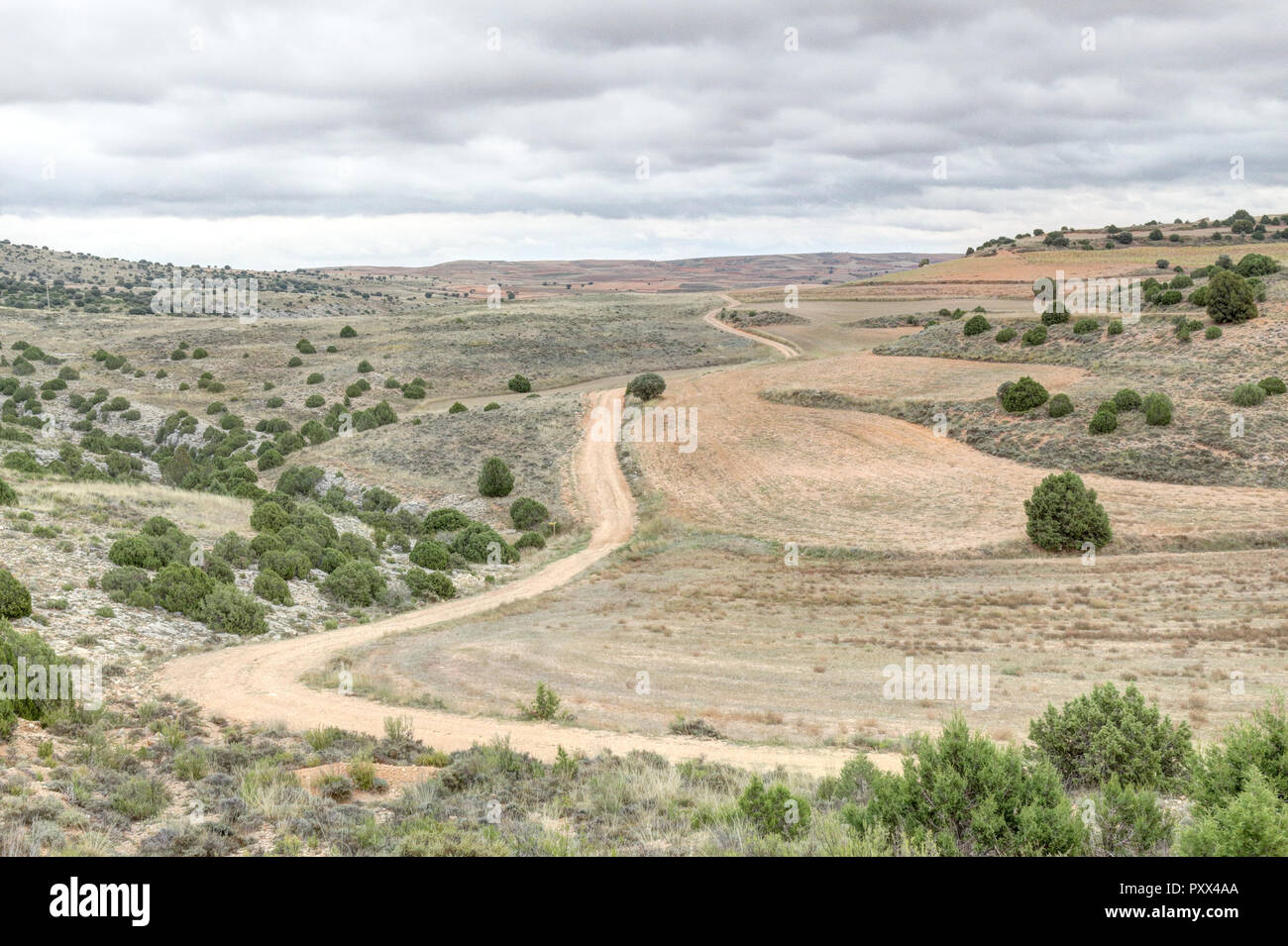 Une route non asphaltée chemin GR24 en passant par les collines ...