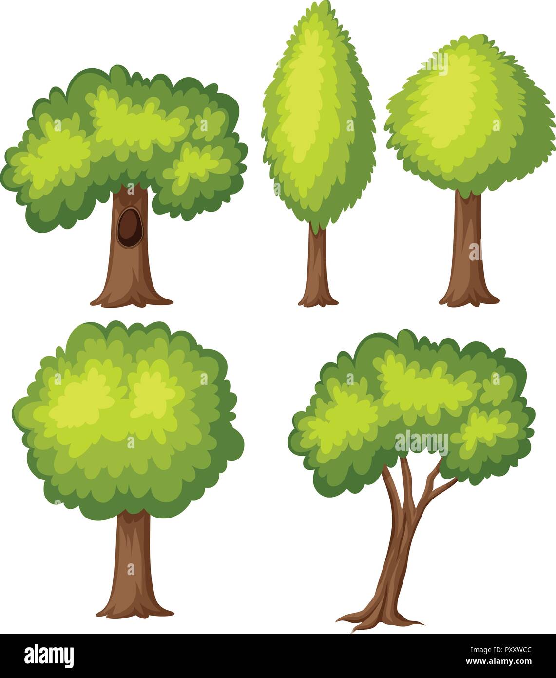 Types de vert Banque d'images vectorielles - Alamy