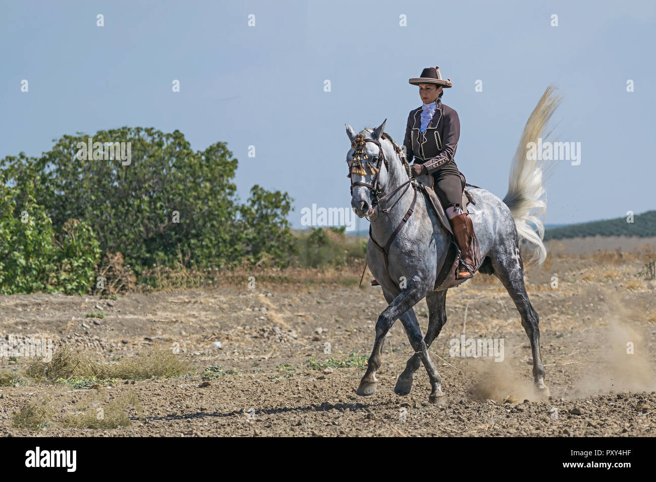 Vaquera vaquera Banque de photographies et d’images à haute résolution ...