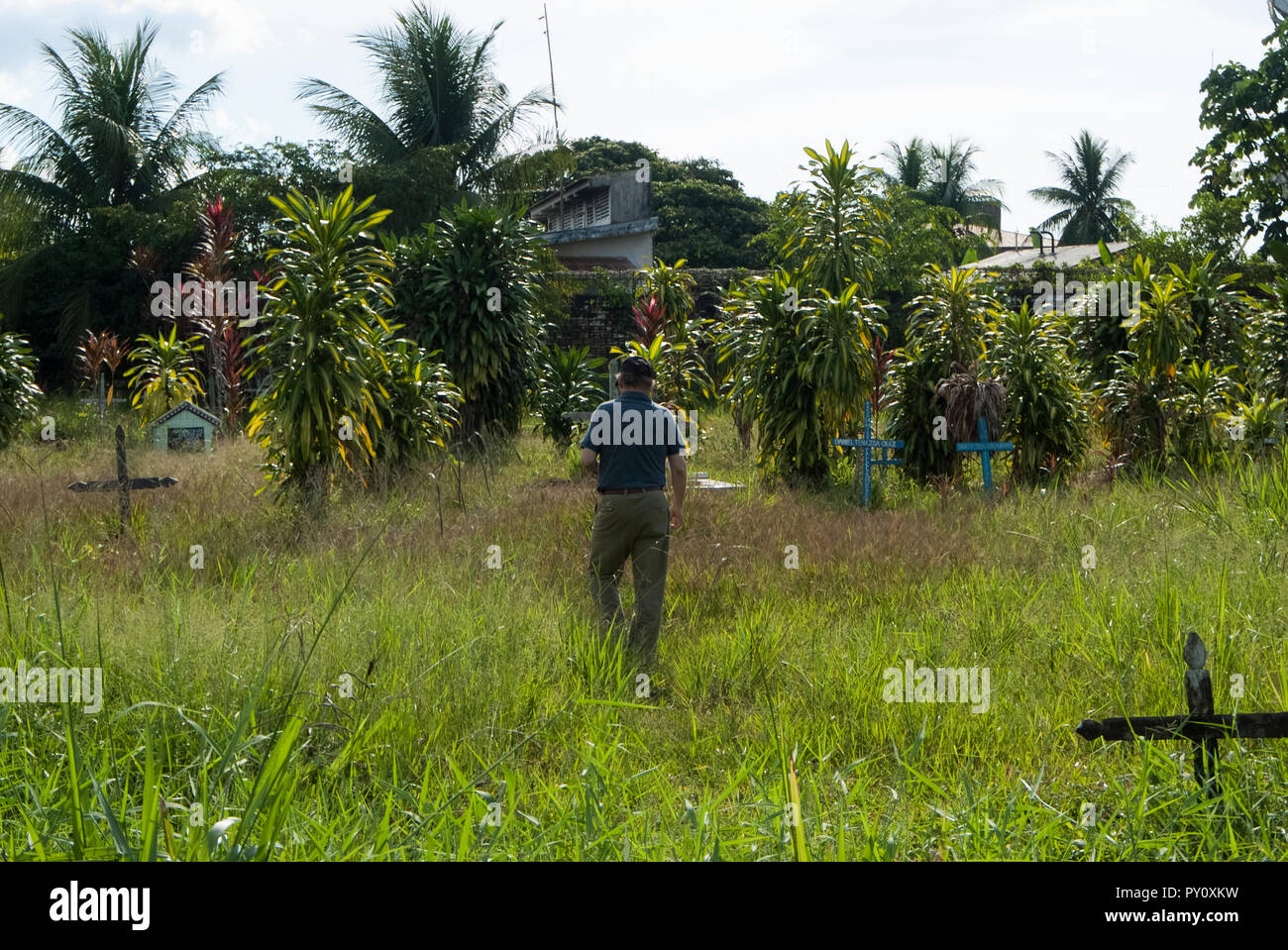 Peruvian Jungle Banque d'image et photos - Alamy