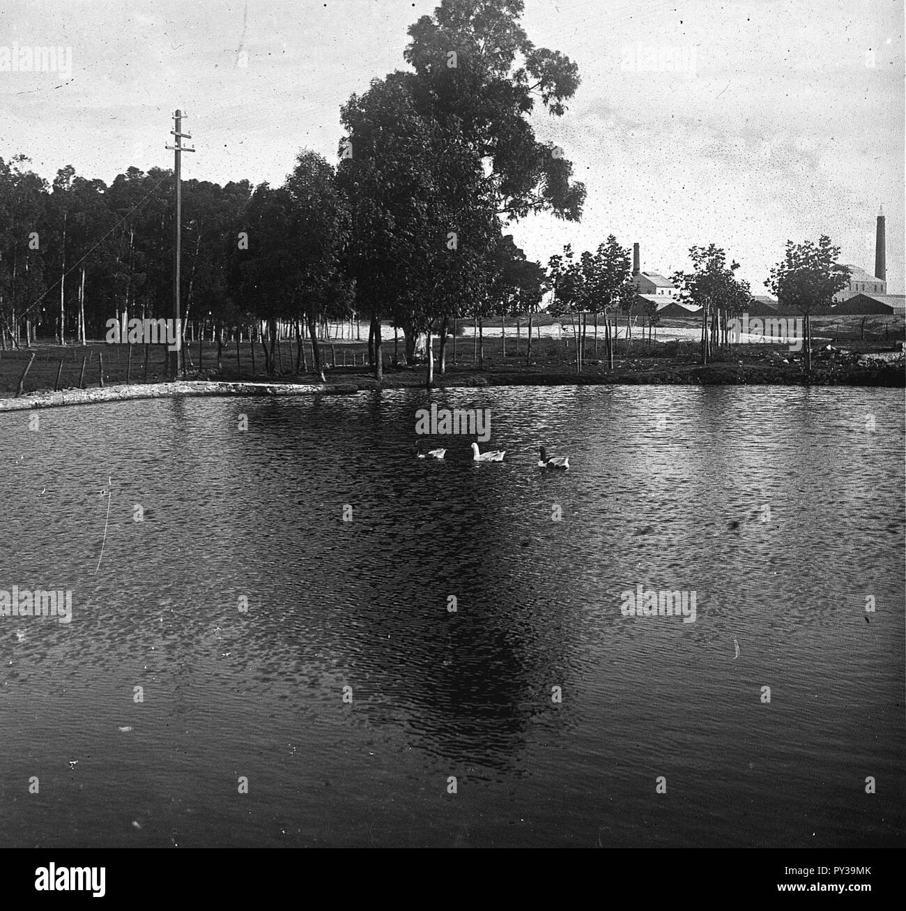 Parque capurro Banque de photographies et d’images à haute résolution ...