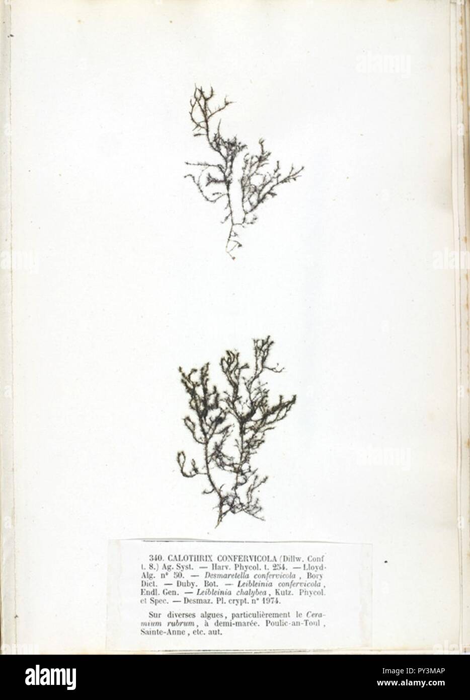 Crouan the history collection Banque de photographies et d’images à ...